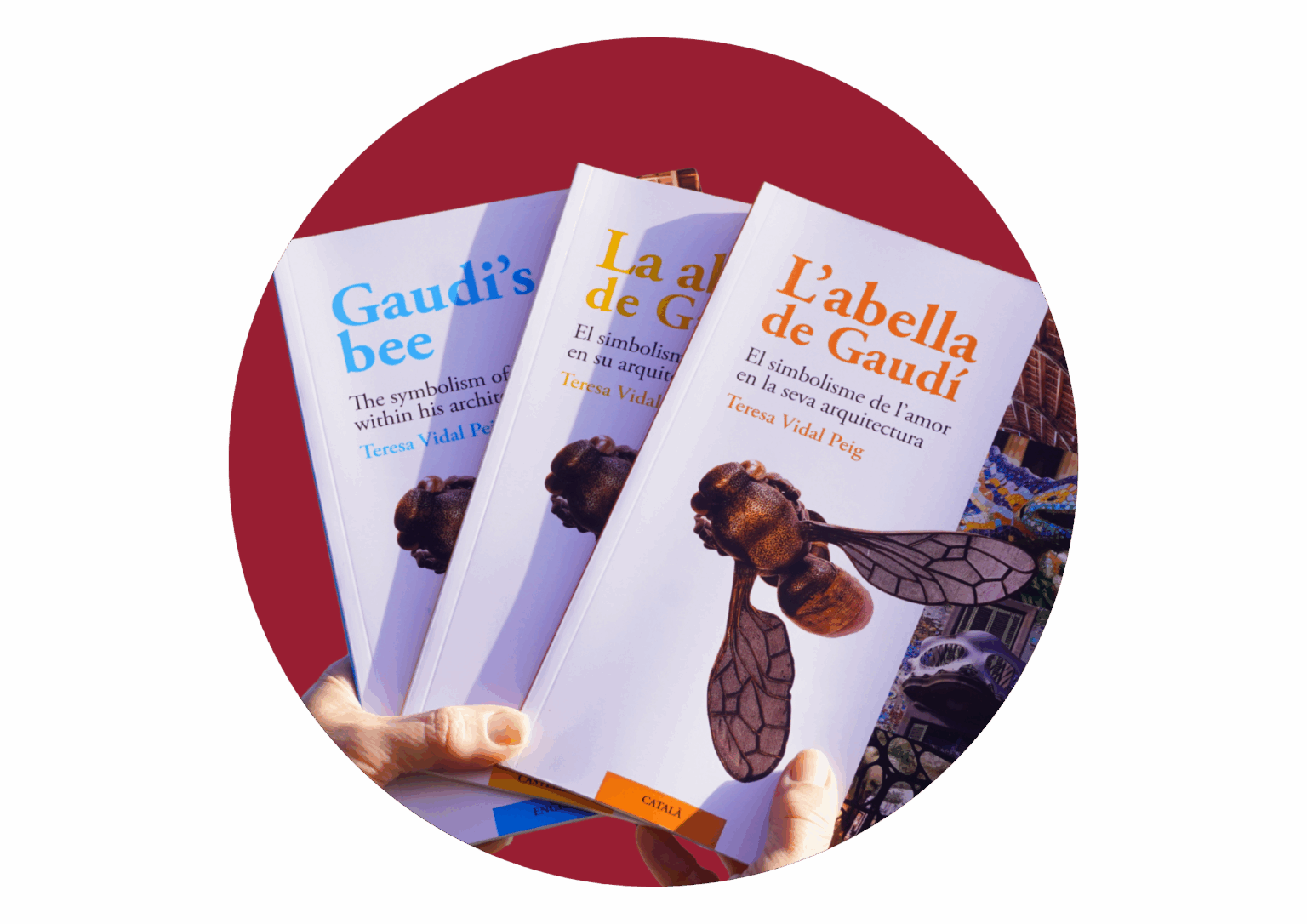 La Abeja de Gaudí: el libro de Teresa Vidal, profesora e investigadora ...